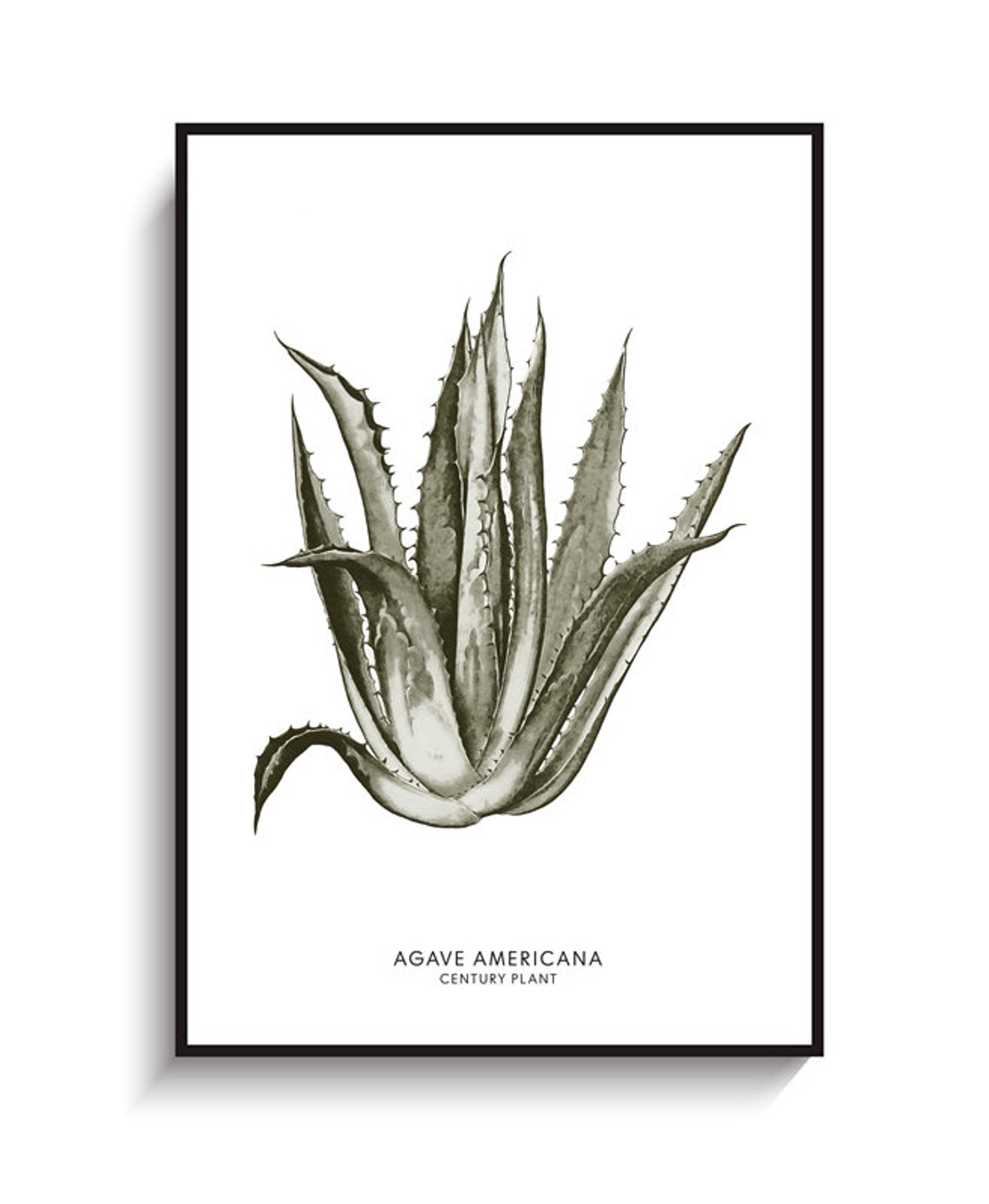 Large Agave Poster - PRINTABLE FILE. Oversized Botanical Poster. Nordic ...