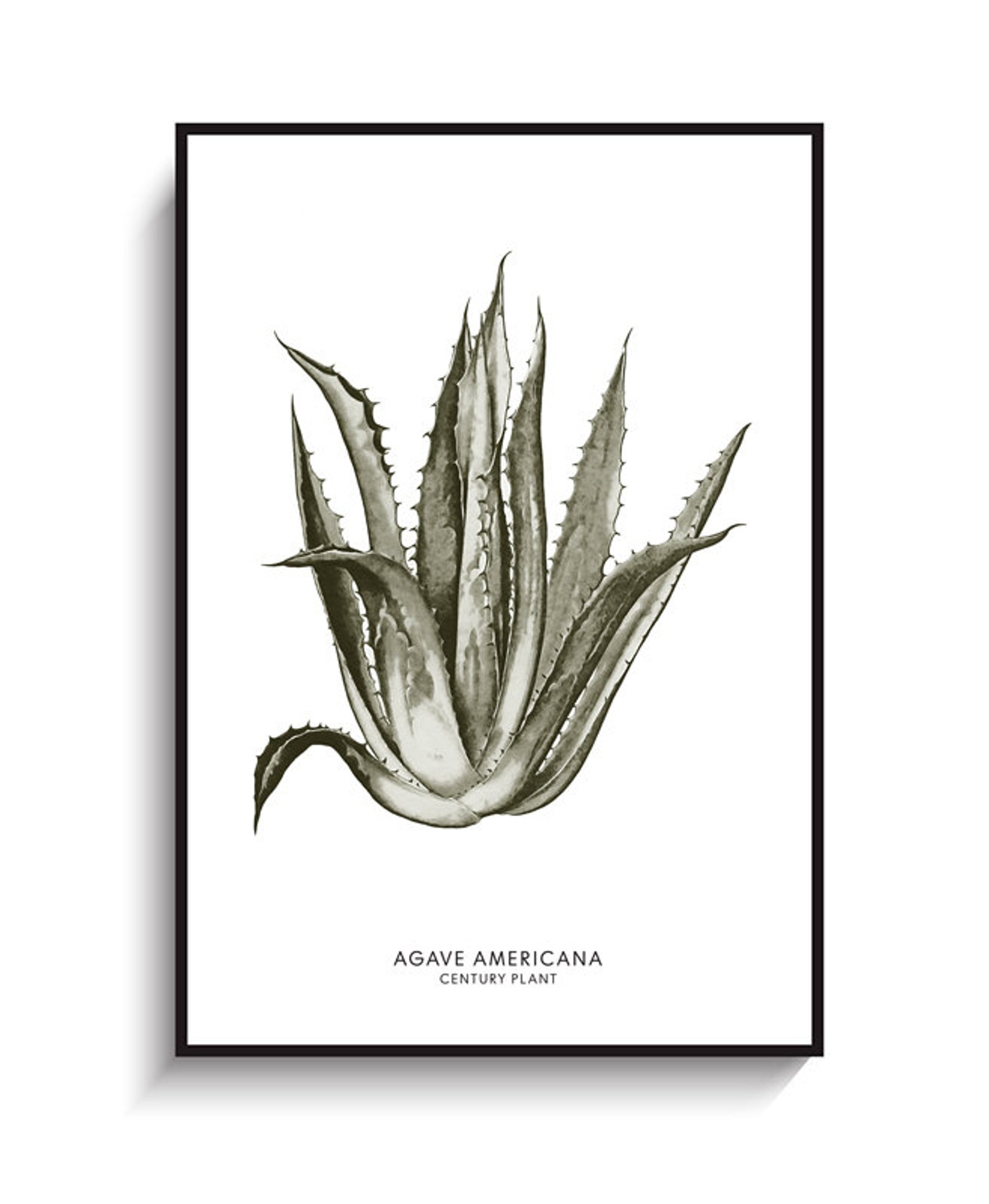Large Agave Poster - PRINTABLE FILE. Oversized Botanical Poster. Nordic ...