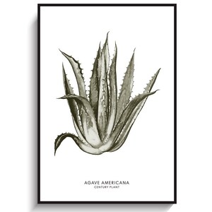 Large Agave Poster - PRINTABLE FILE. Oversized Botanical Poster. Nordic ...