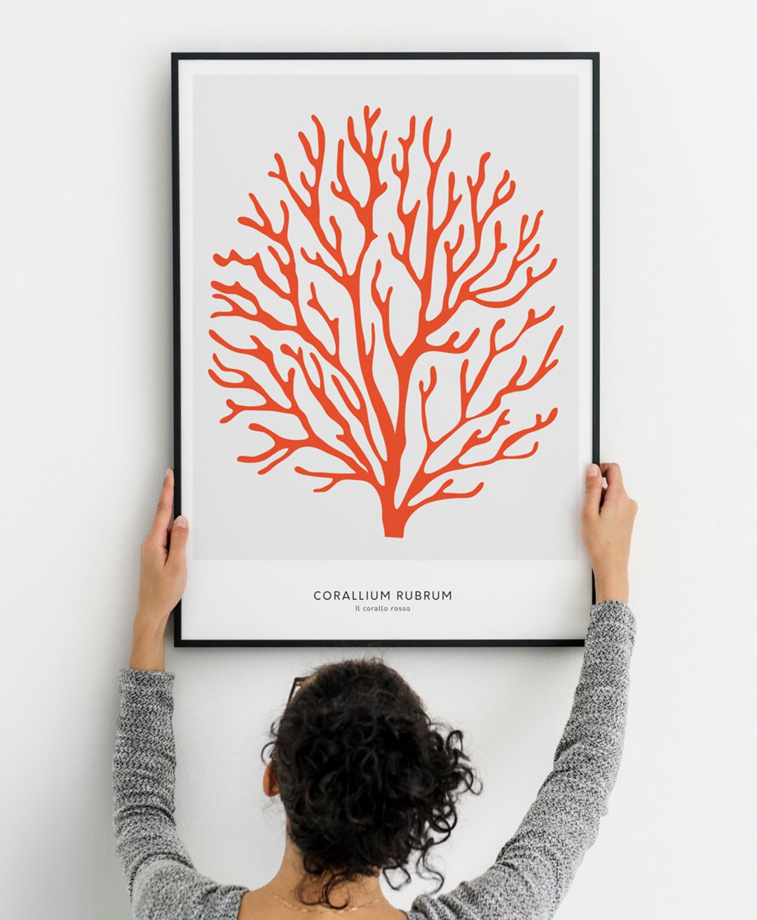 Red Coral Poster. Sea Coral Print. Coral Illustration. Marine Beach ...