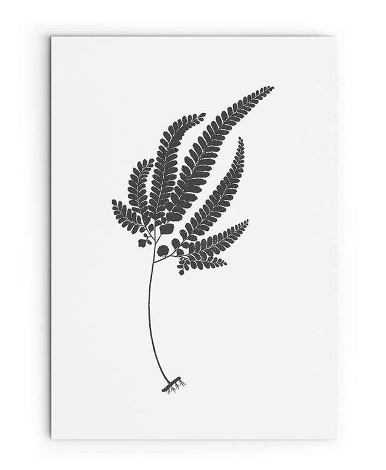 Fern Leaf - PRINTABLE FILE. Graphic Plant Print. Botanical Illustration ...
