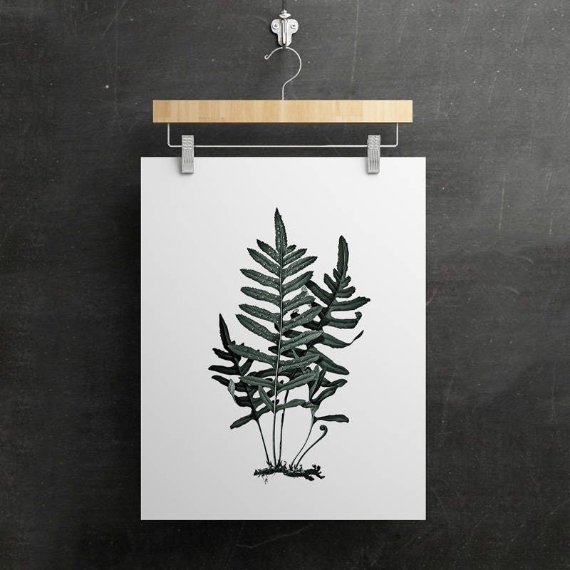 Fern Leaf Print. Botanical Illustration. Green Leaf Wall | Etsy
