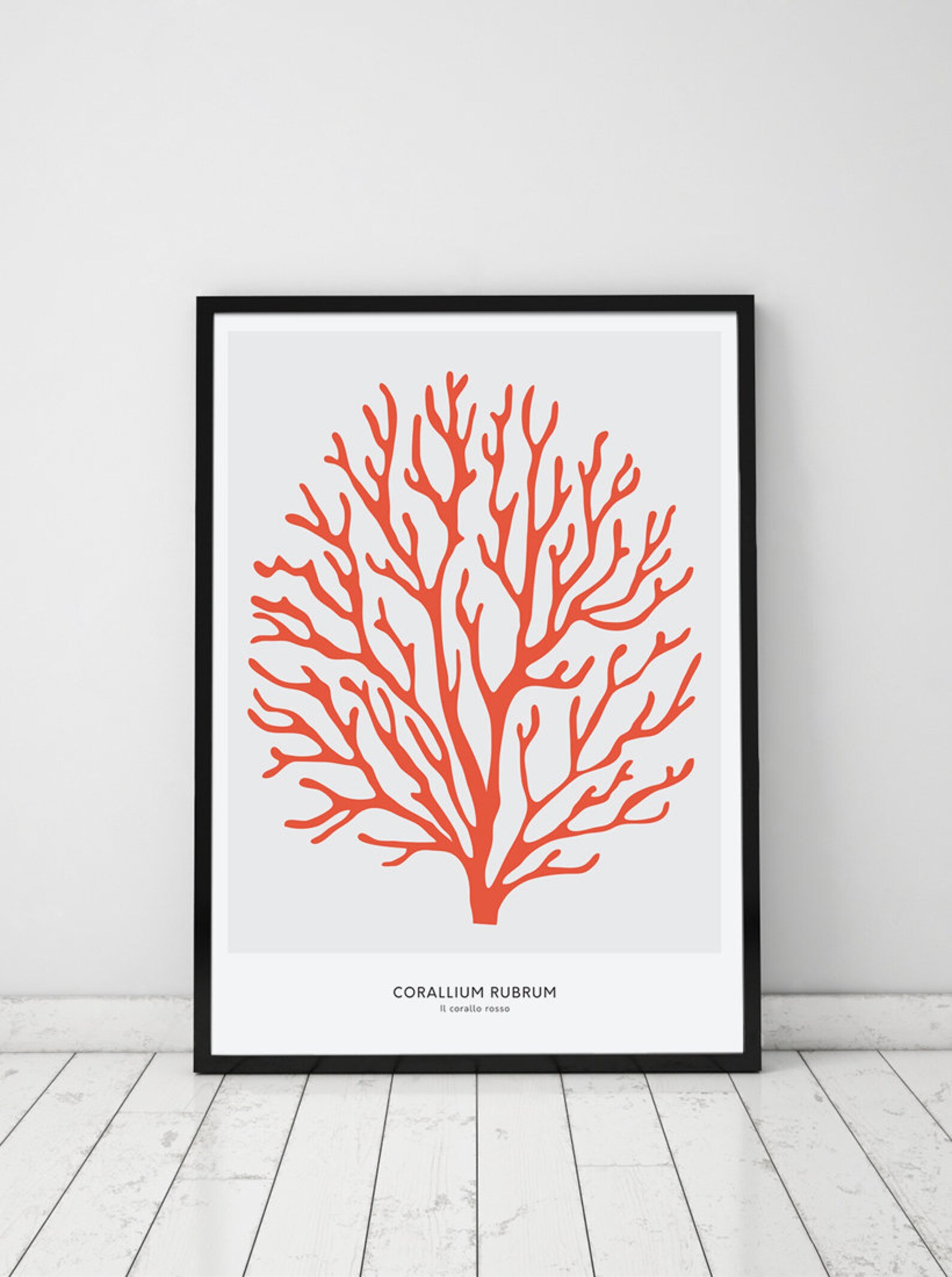 Red Coral Poster. Sea Coral Print. Coral Illustration. Marine | Etsy