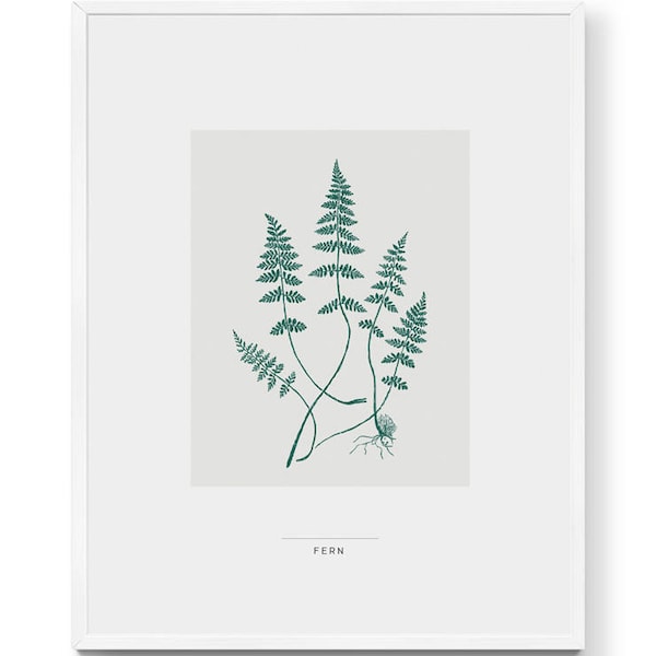Modern Fern Art - Etsy