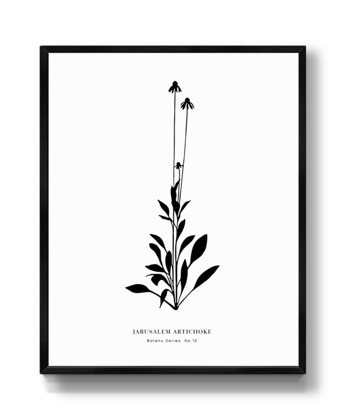 Jerusalem Artichoke Plant Poster - PRINTABLE FILE. Graphic Illustration ...