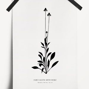Jerusalem Artichoke Plant Poster - PRINTABLE FILE. Graphic Illustration ...