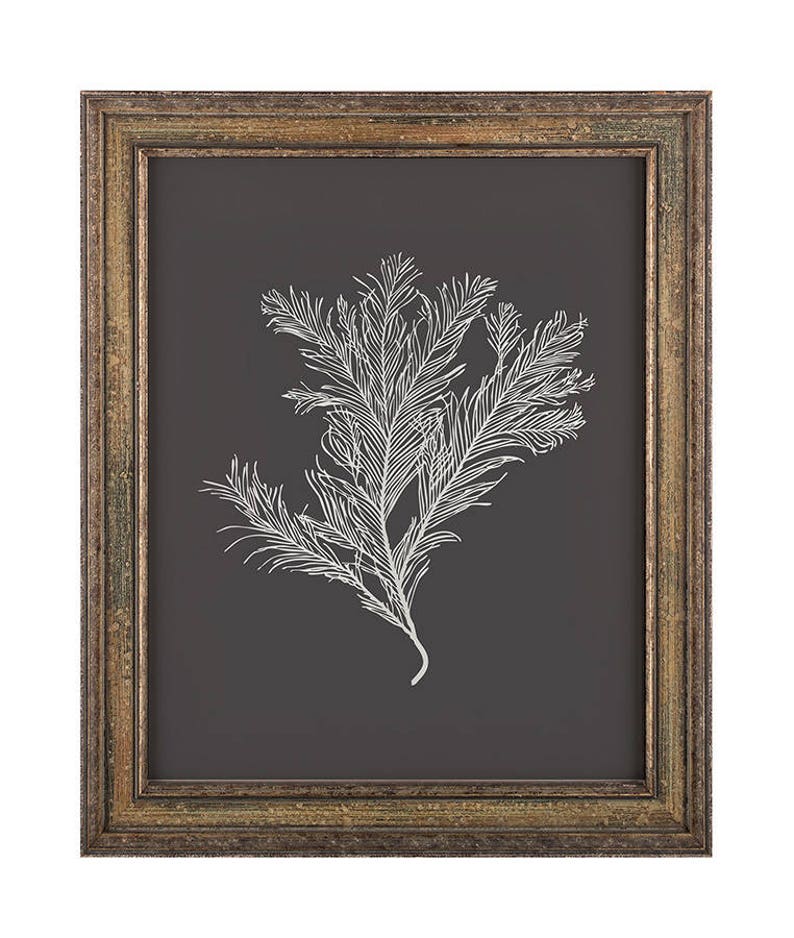 Plant Leaf Wall Art PRINTABLE FILE. Leaf Poster. Botanical | Etsy