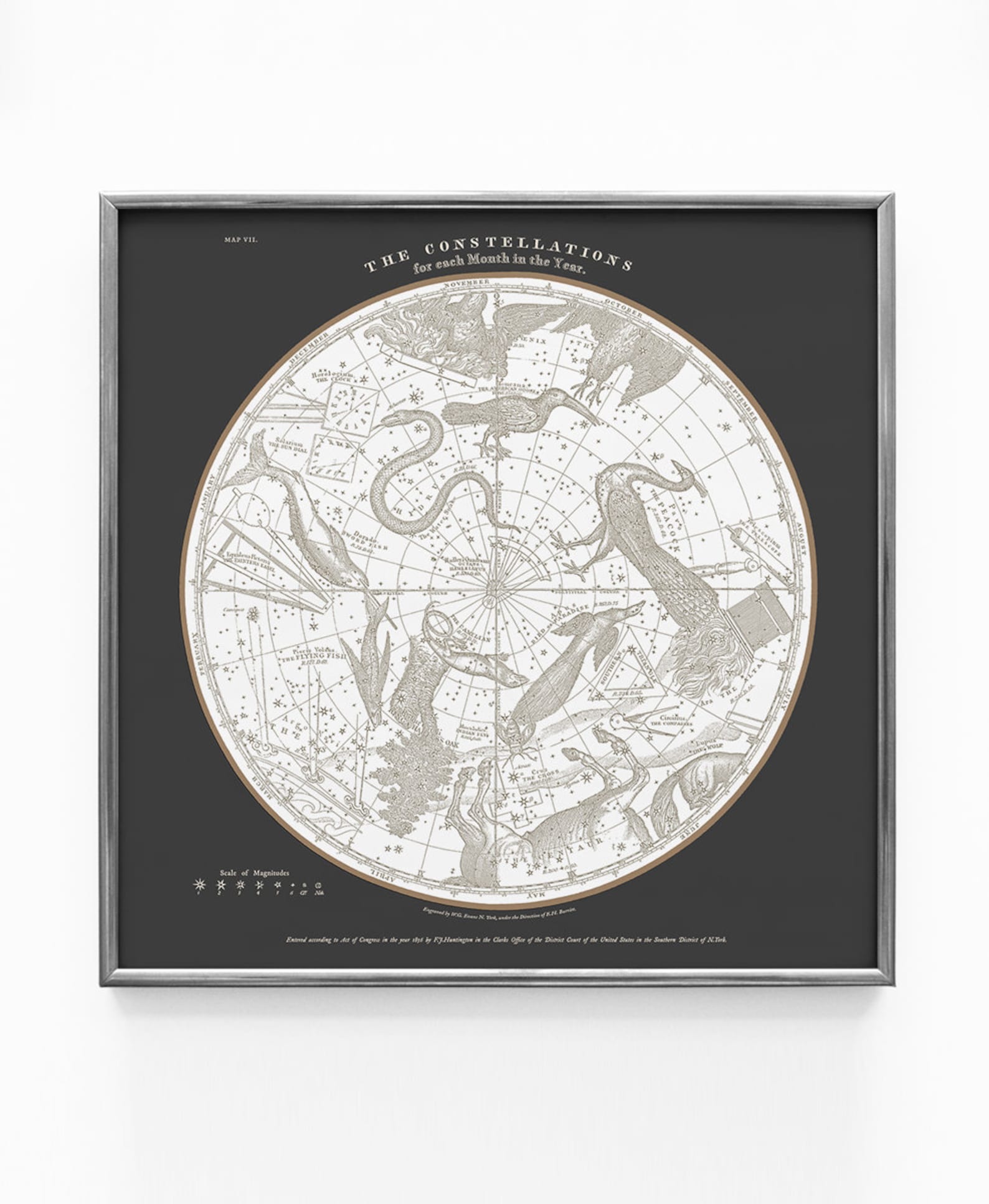 Constellation Posters. Modern Vintage Southern and Northern | Etsy