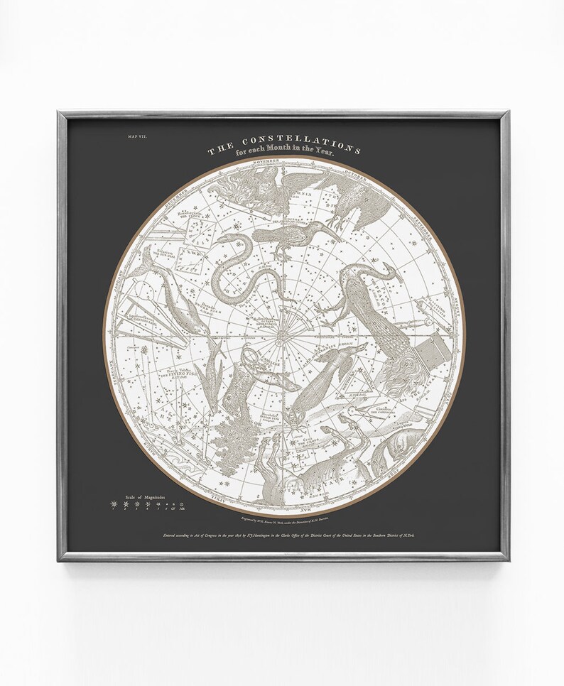 Constellation Posters. Modern Vintage Southern and Northern | Etsy