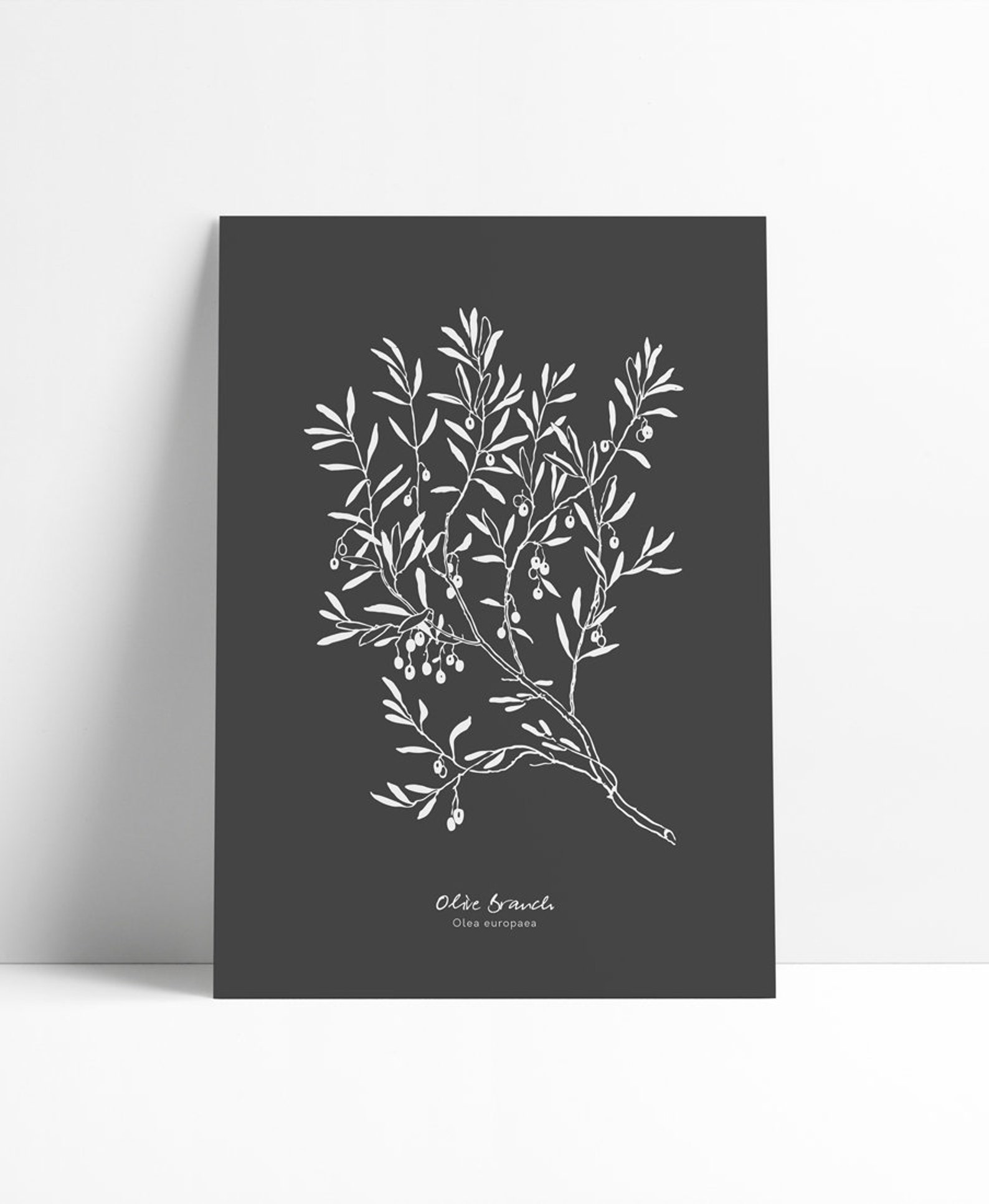 Olive Branch Wall Art. Olive Branch Print. Boho Poster. Monochrome Art ...