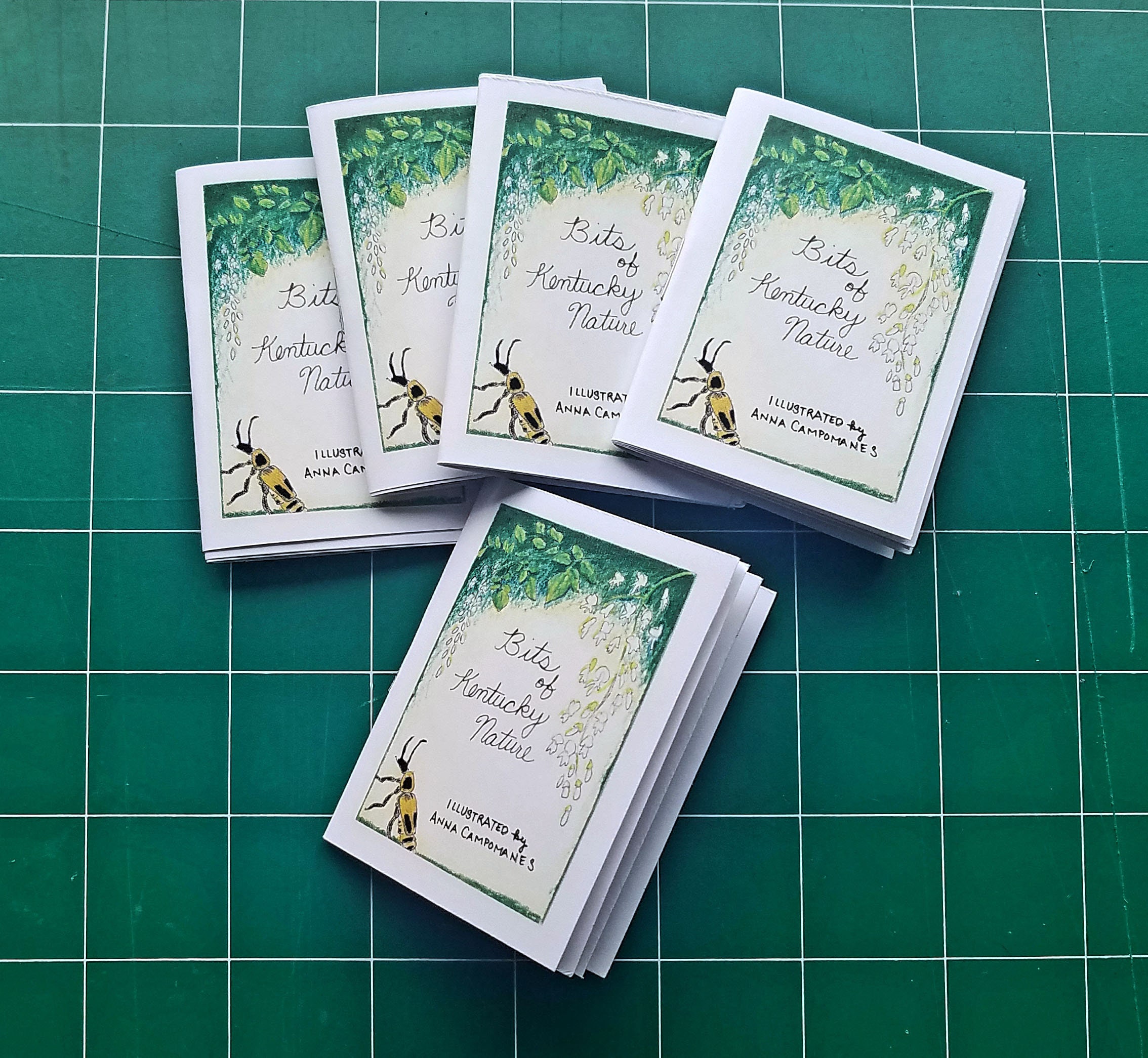 Bits of Kentucky Nature Zine | Etsy