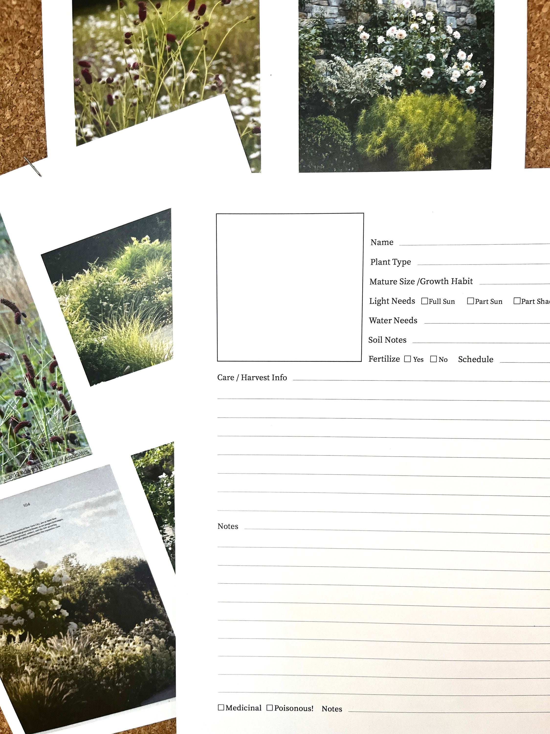 Garden Design Bundle - Design Prep Sheet + Color Calendar + Plant Care ...