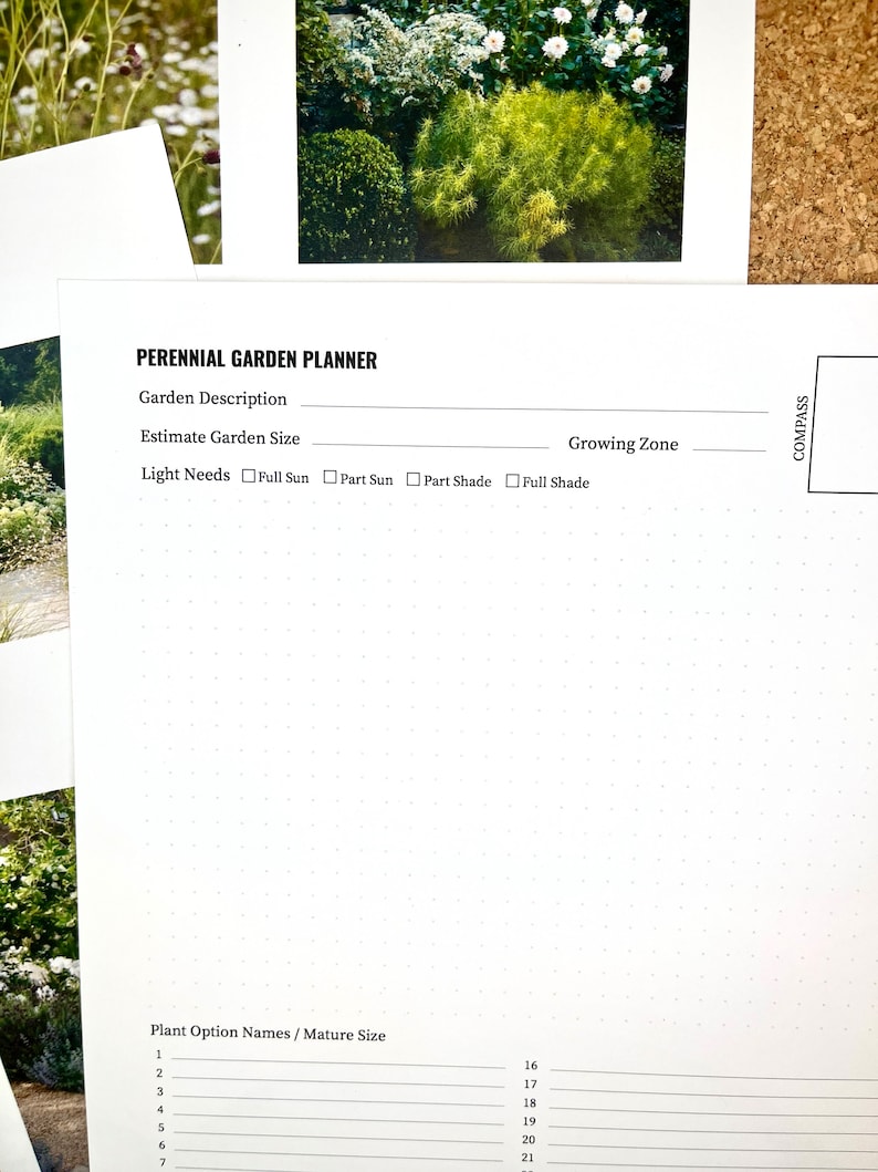 Garden Design Bundle - Design Prep Sheet + Color Calendar + Plant Care ...