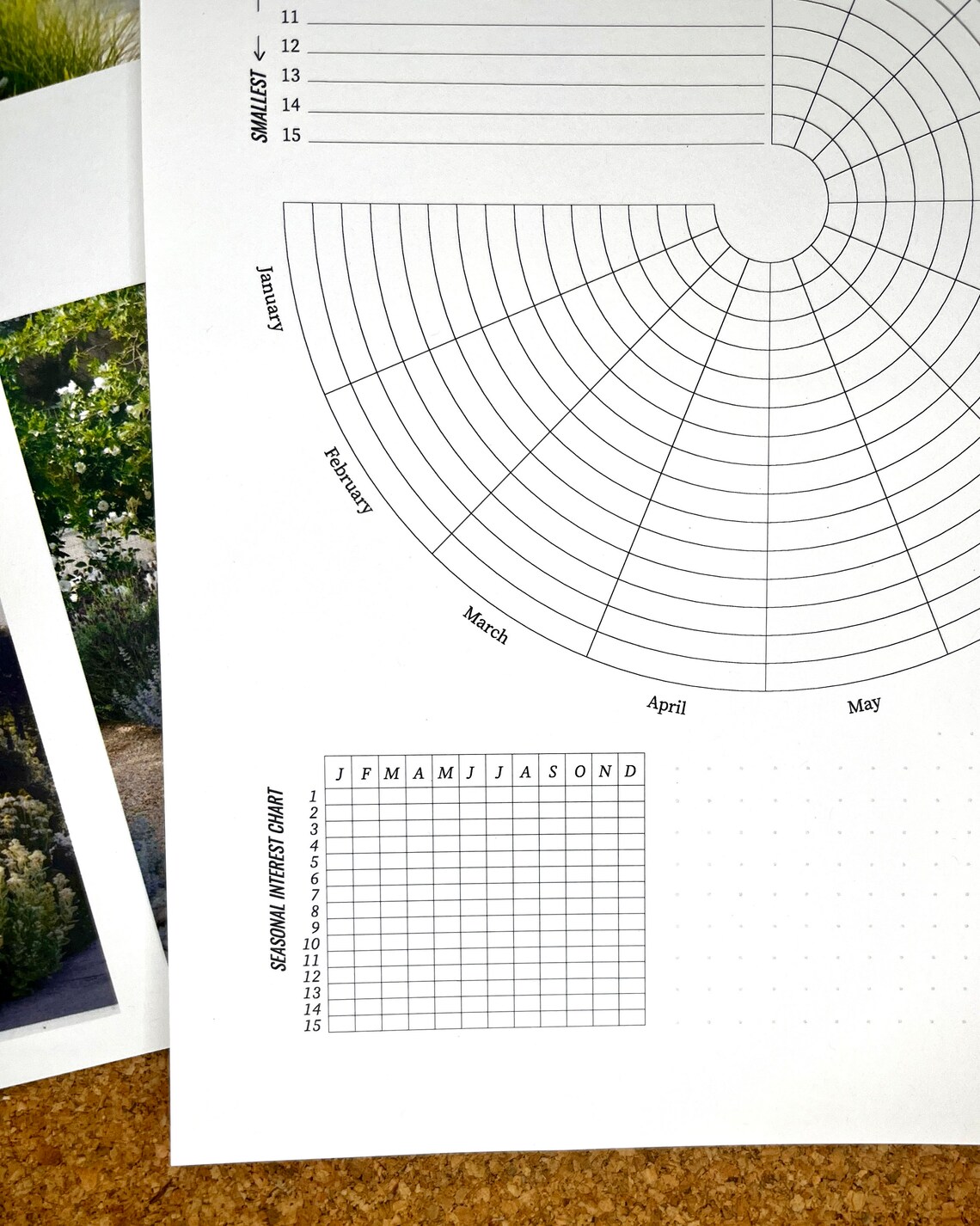 Garden Design Planner - the Color Calendar - DIGITAL DOWNLOAD / PDF - Etsy