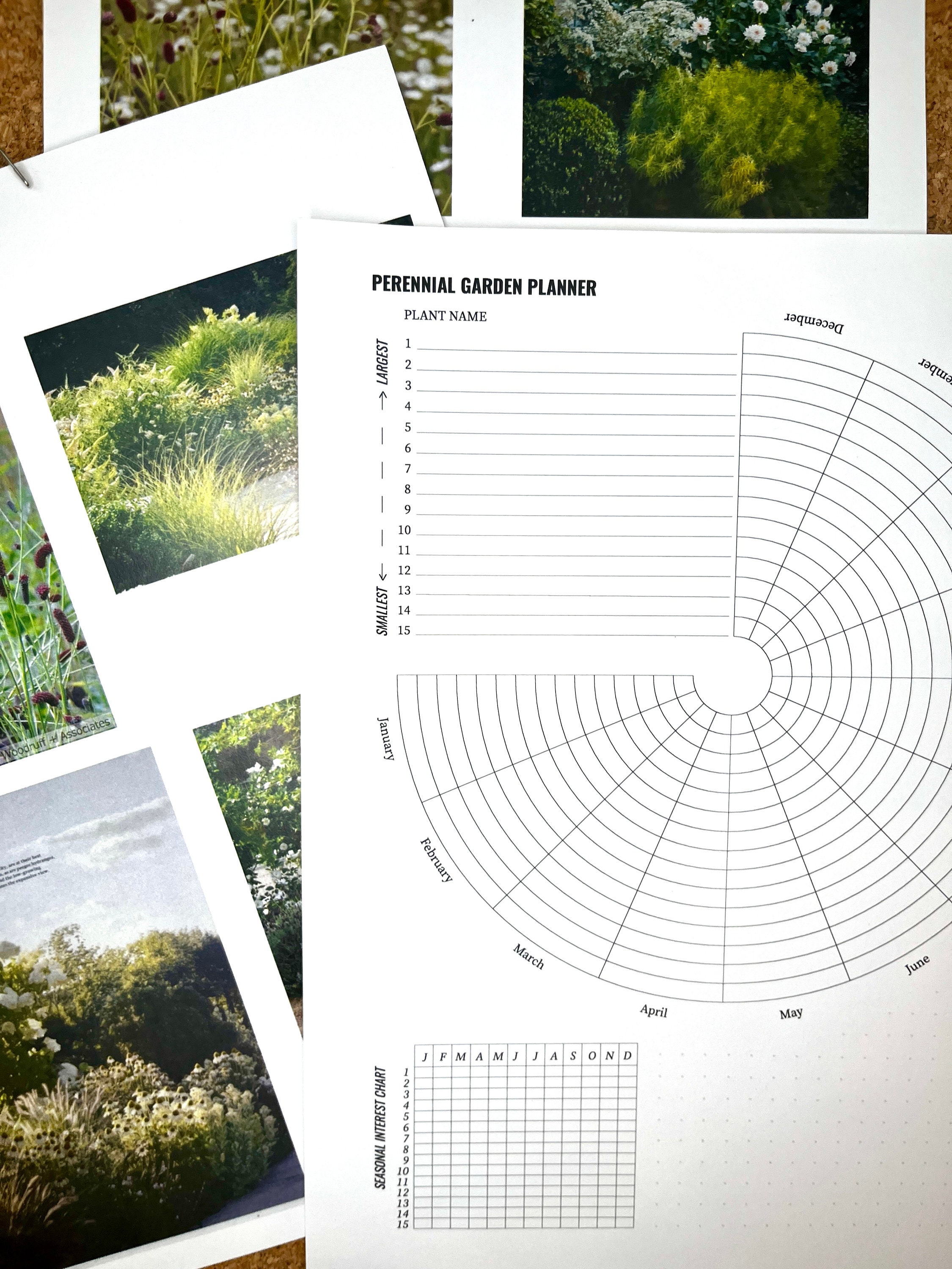 Garden Design Bundle - Design Prep Sheet + Color Calendar + Plant Care ...