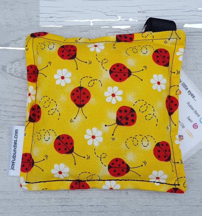 I Spy Bag Lady Bugs Busy Bag Eye Spy Game Educational - Etsy