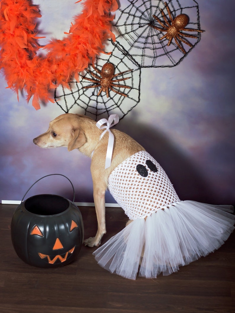 Halloween dog costume ghost dog tutu ghost costume | Etsy