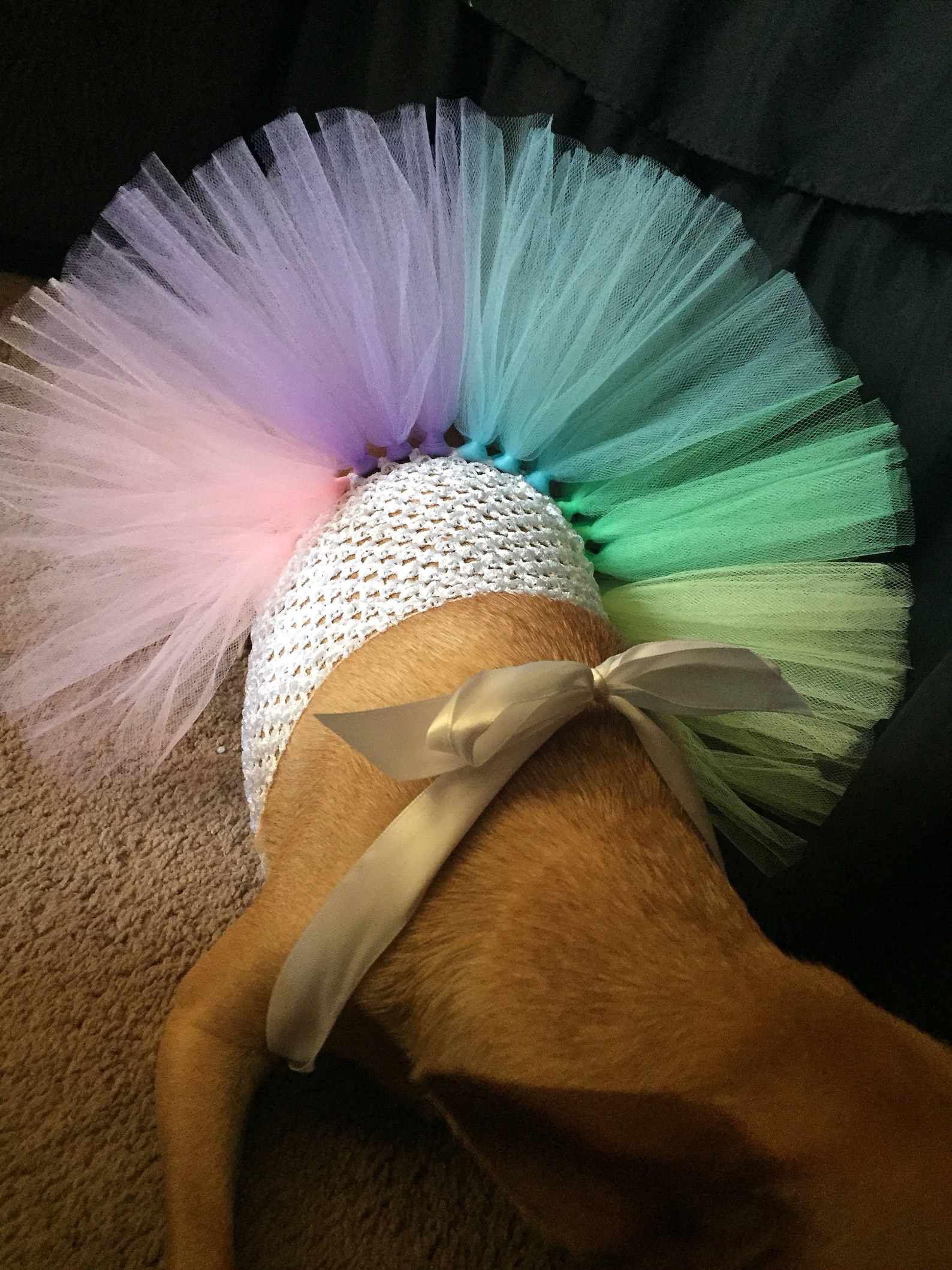 Pastel Rainbow Dog Tutu Easter Pet Tutu Rainbow Dog Dress - Etsy