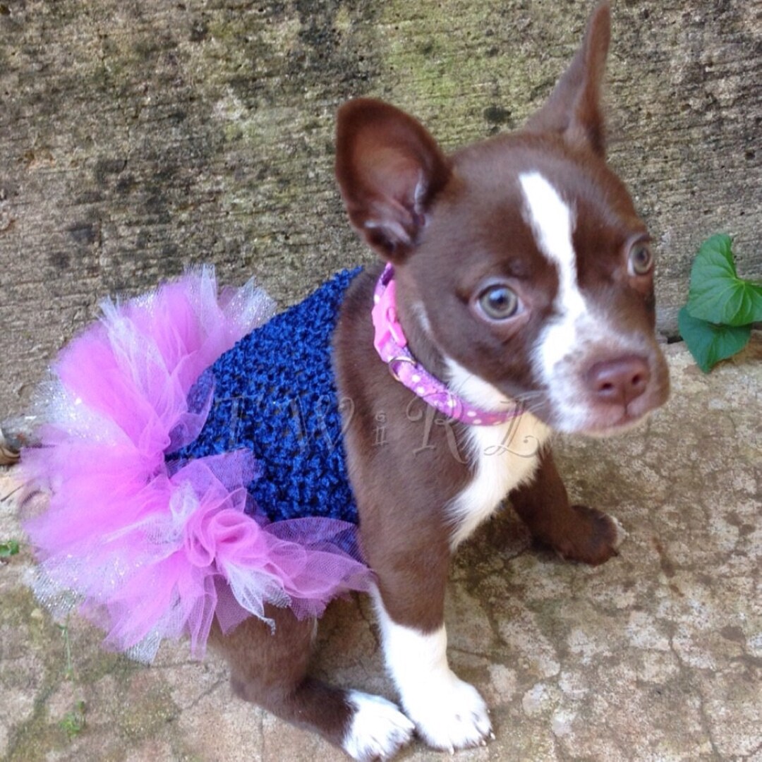 Blue and Pink Dog Tutu, Dog Dress, Puppy Tutu, Puppy Outfit, Dog Outfit ...