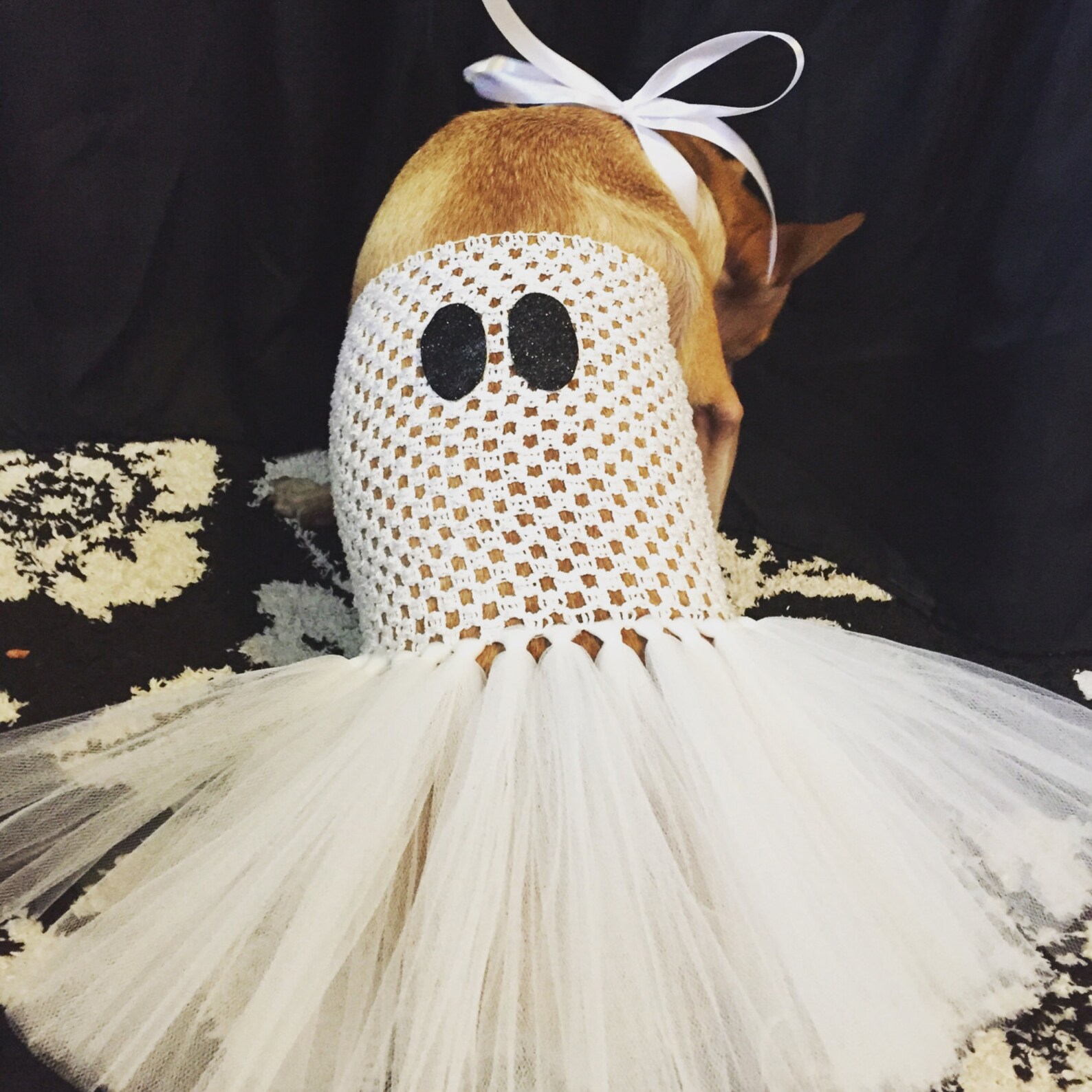 Halloween Dog Costume, Ghost Dog Tutu, Ghost Costume, Halloween Costume ...