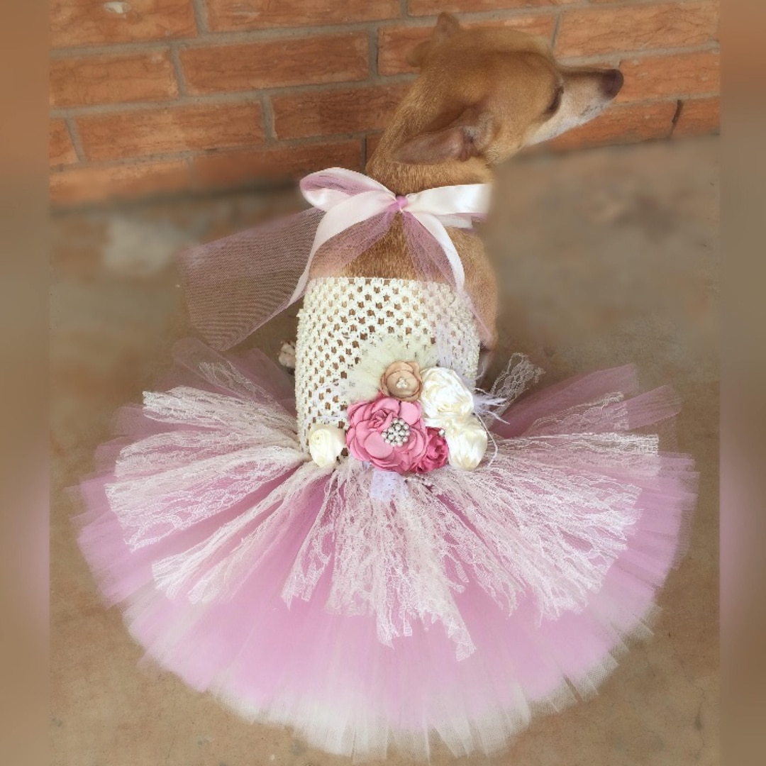 Fancy Dog Dress, Pageant Show Dog Dress, Southern Belle Dog Tutu, Dog ...