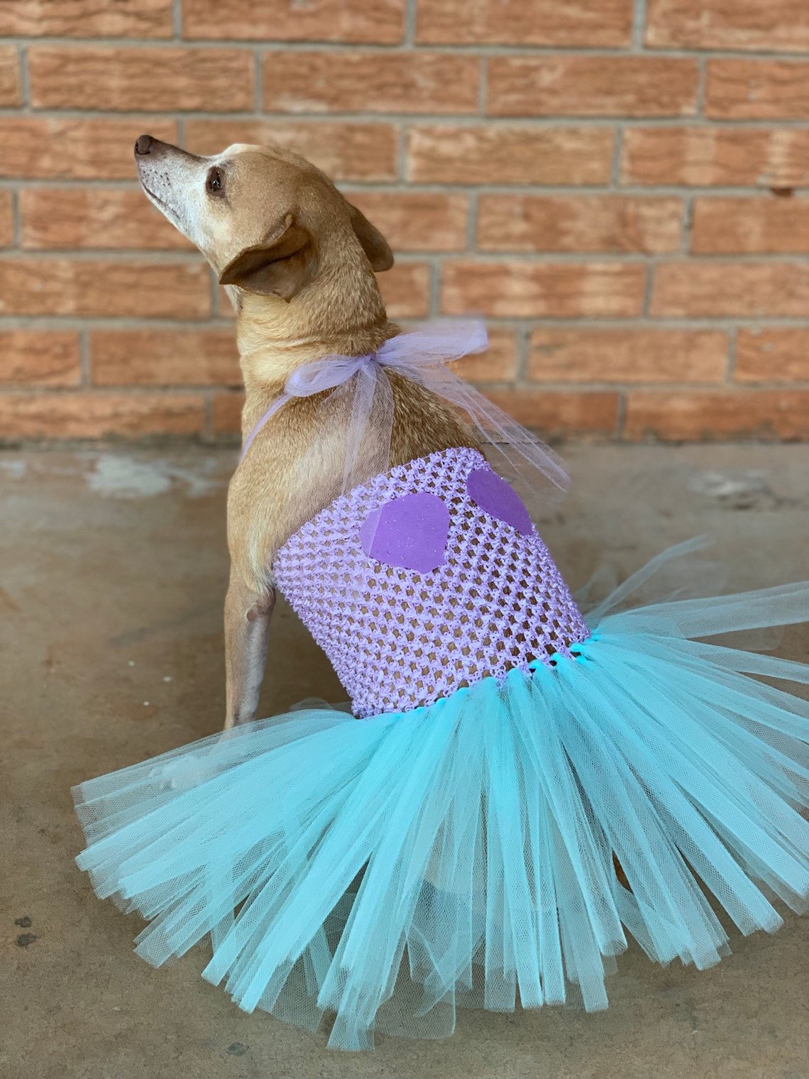 Mermaid Dog Costume Merdog Halloween Dog Costume Dog - Etsy