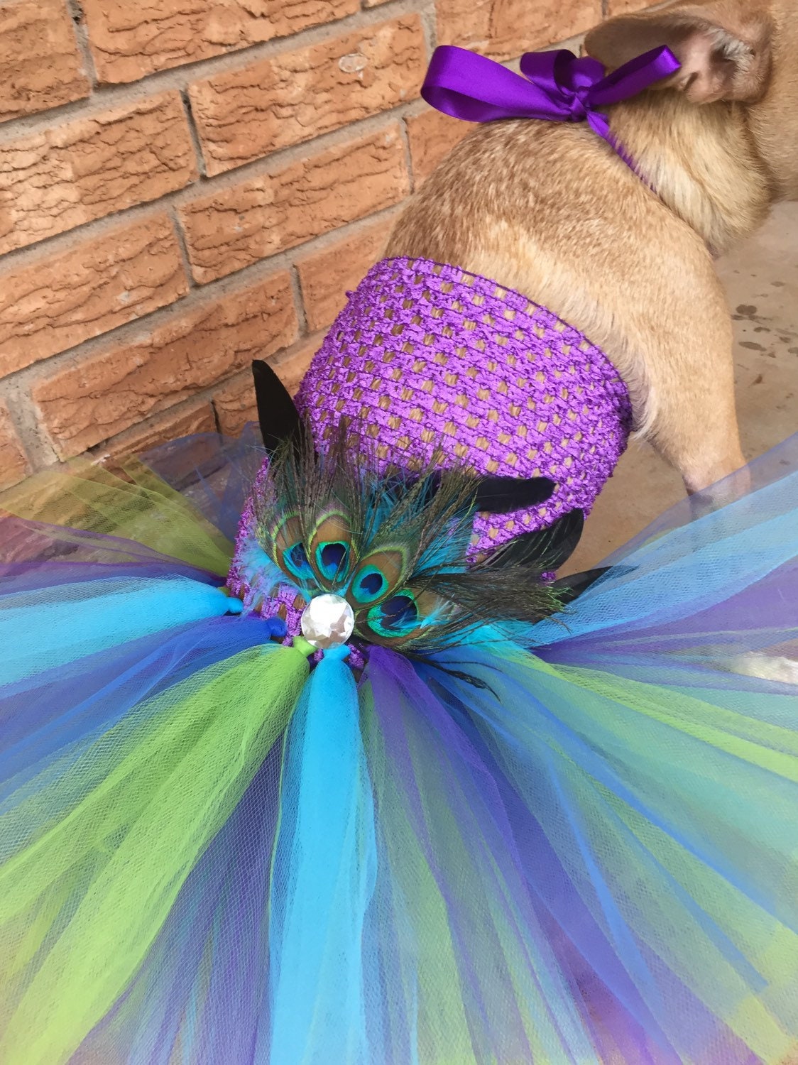 Dog wedding dress pageant show dog dress dog tutu dress | Etsy