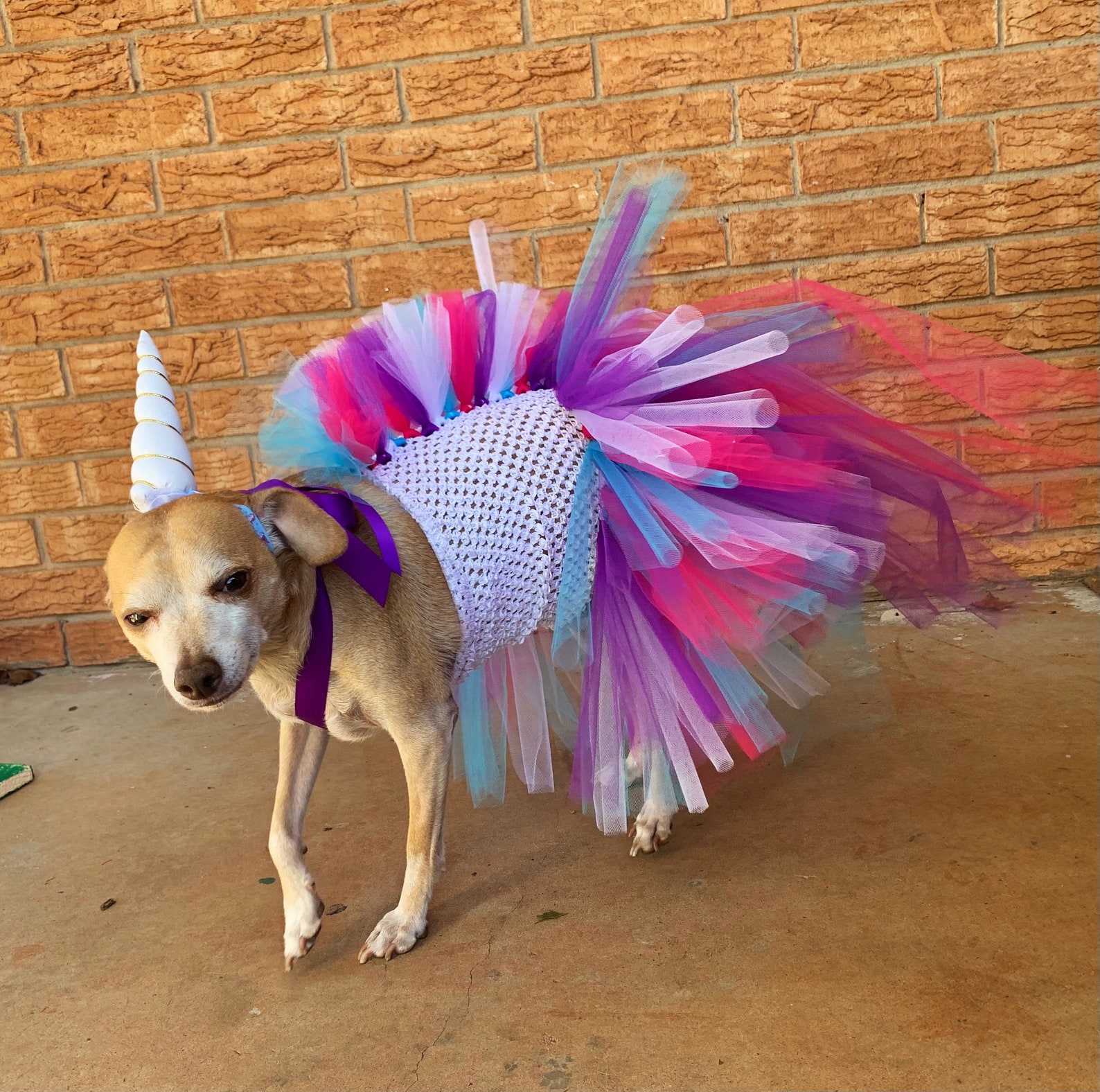 Dog Unicorn Costume Dress Pageant Show Dog Dress Dog Tutu - Etsy