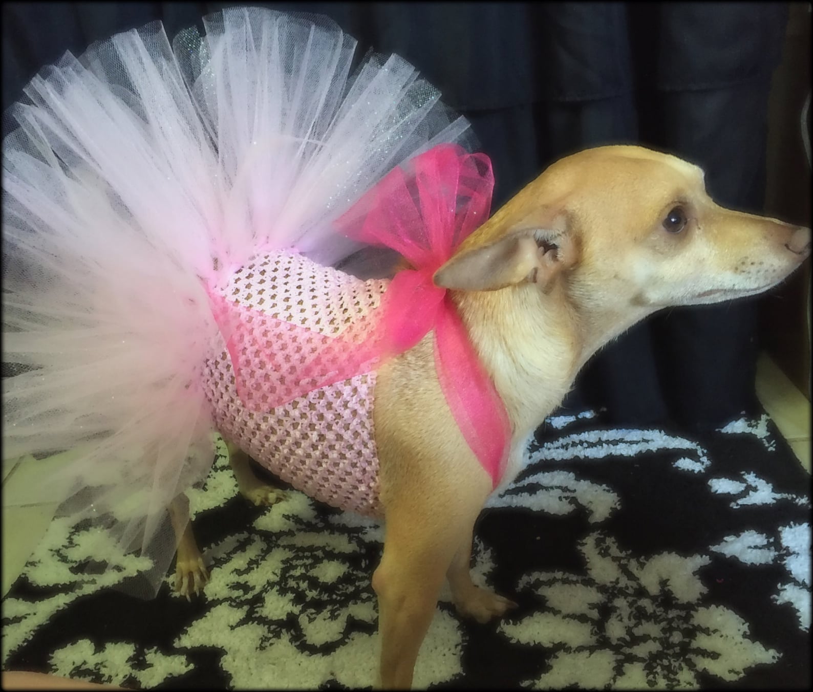 Pink Dog Tutu Princess Dog Tutu Dog Princess Costume Pink | Etsy