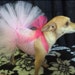 Pink Dog Tutu, Princess Dog Tutu, Dog Princess Costume, Pink Dog Dress ...