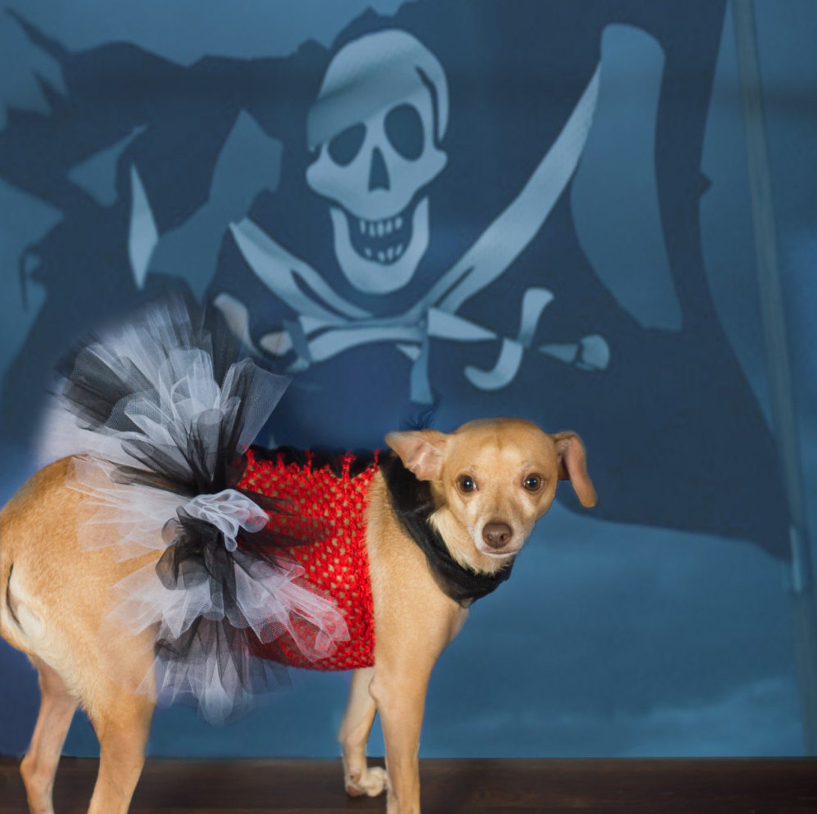 Pirate Dog Costume Pirate Dog Outfit Dog Pirate Tutu Dog - Etsy