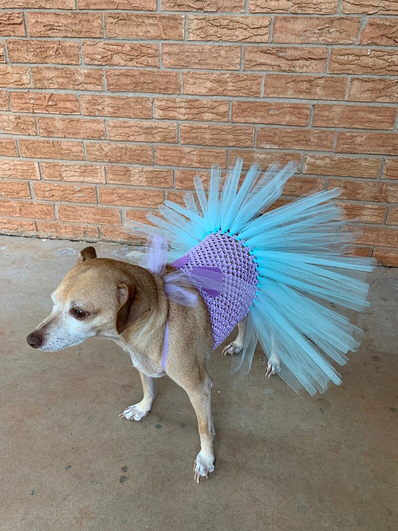 Mermaid Dog Costume Merdog Halloween Dog Costume Dog | Etsy