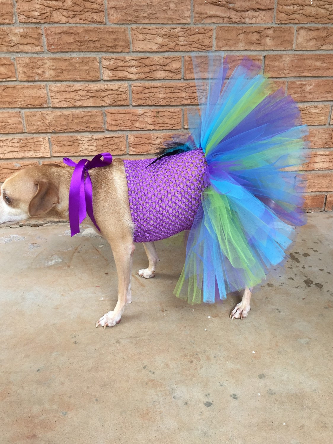 Dog wedding dress pageant show dog dress dog tutu dress | Etsy