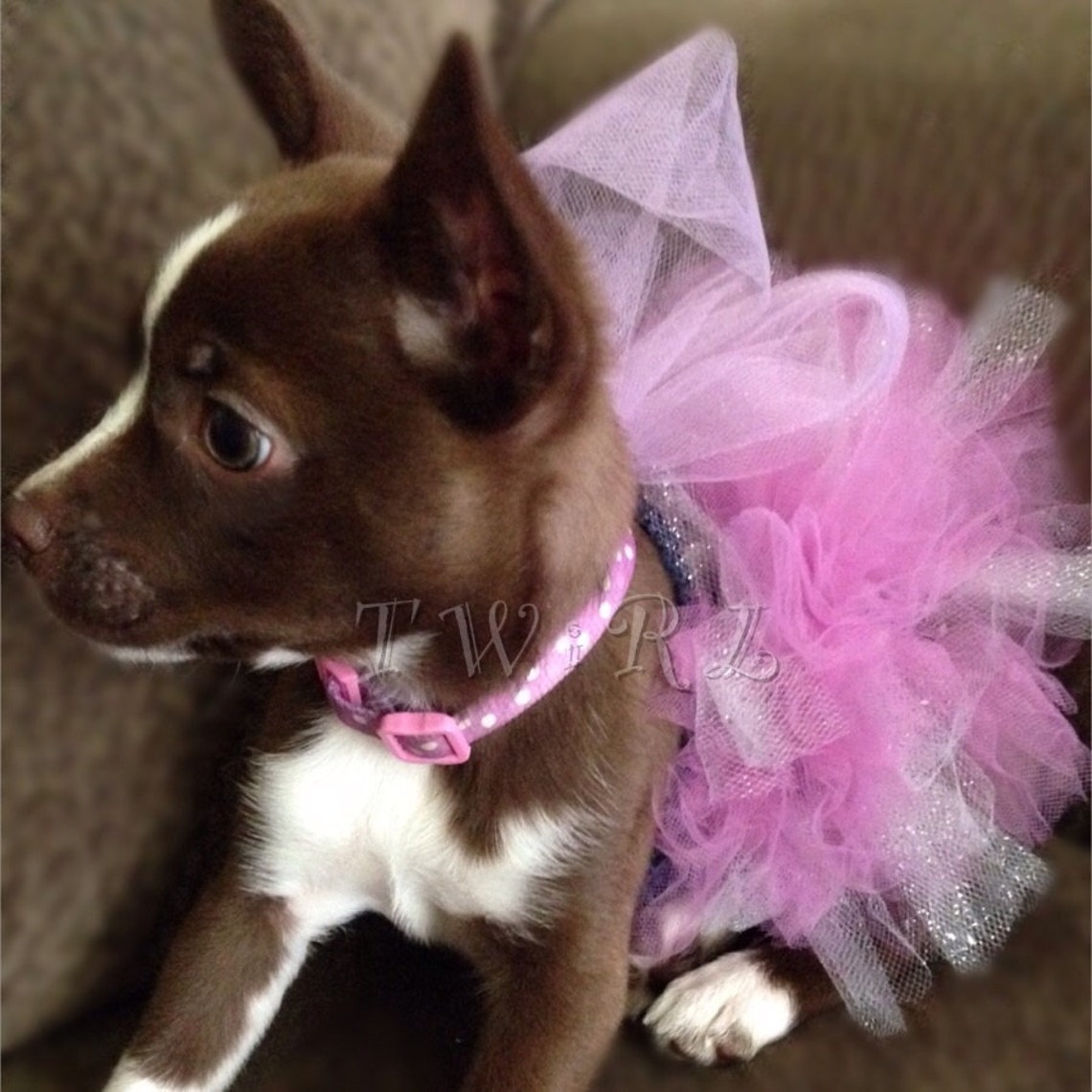 Blue and Pink Dog Tutu Dog Dress Puppy Tutu Puppy Outfit - Etsy