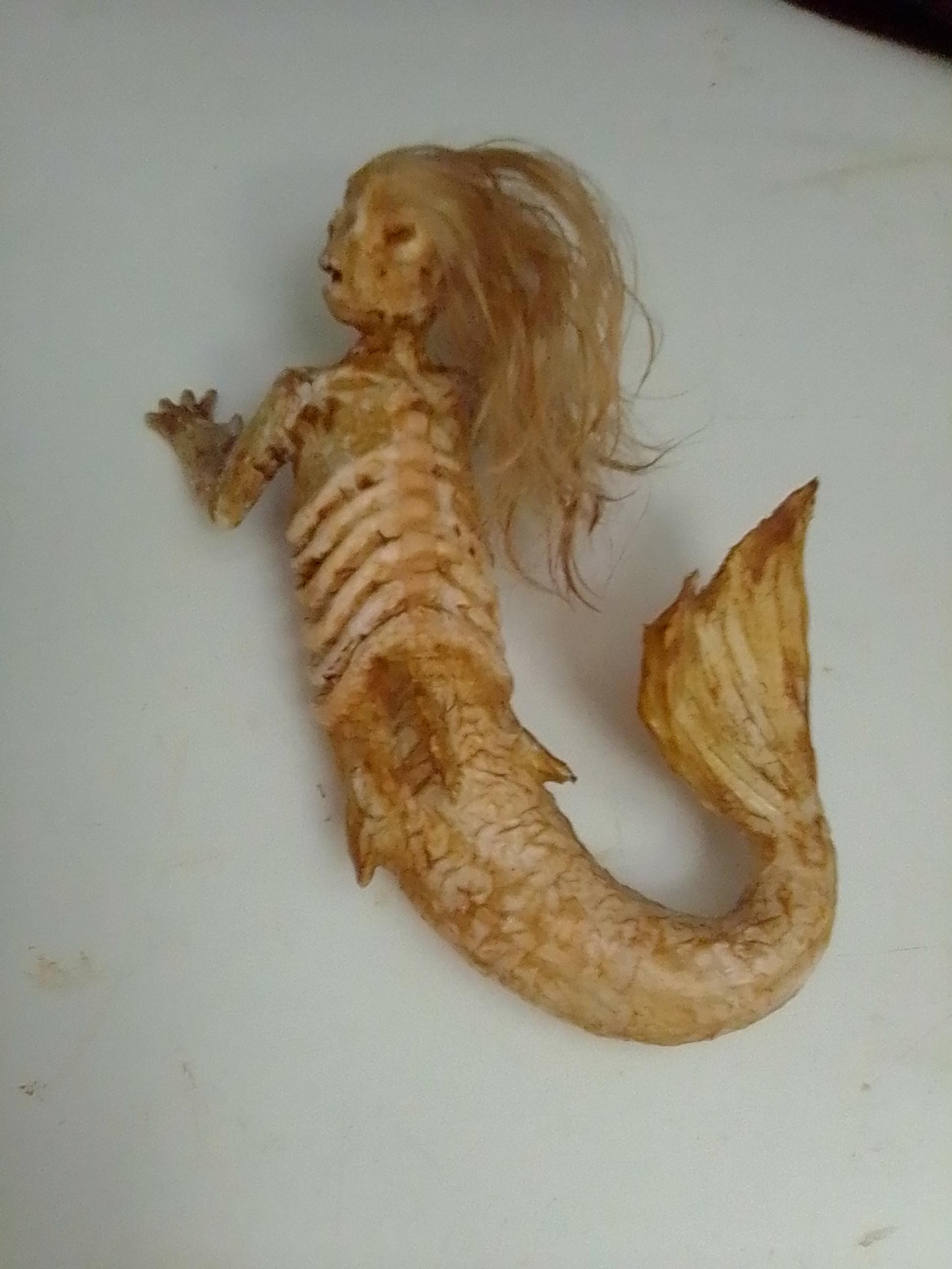 Feejee Fiji Mermaid 5 Inches Long Sideshow Freak Gaff Sea Creature Fish ...