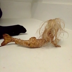 Feejee Fiji Mermaid Sideshow Gaff Freak 5.75 Inches - Etsy