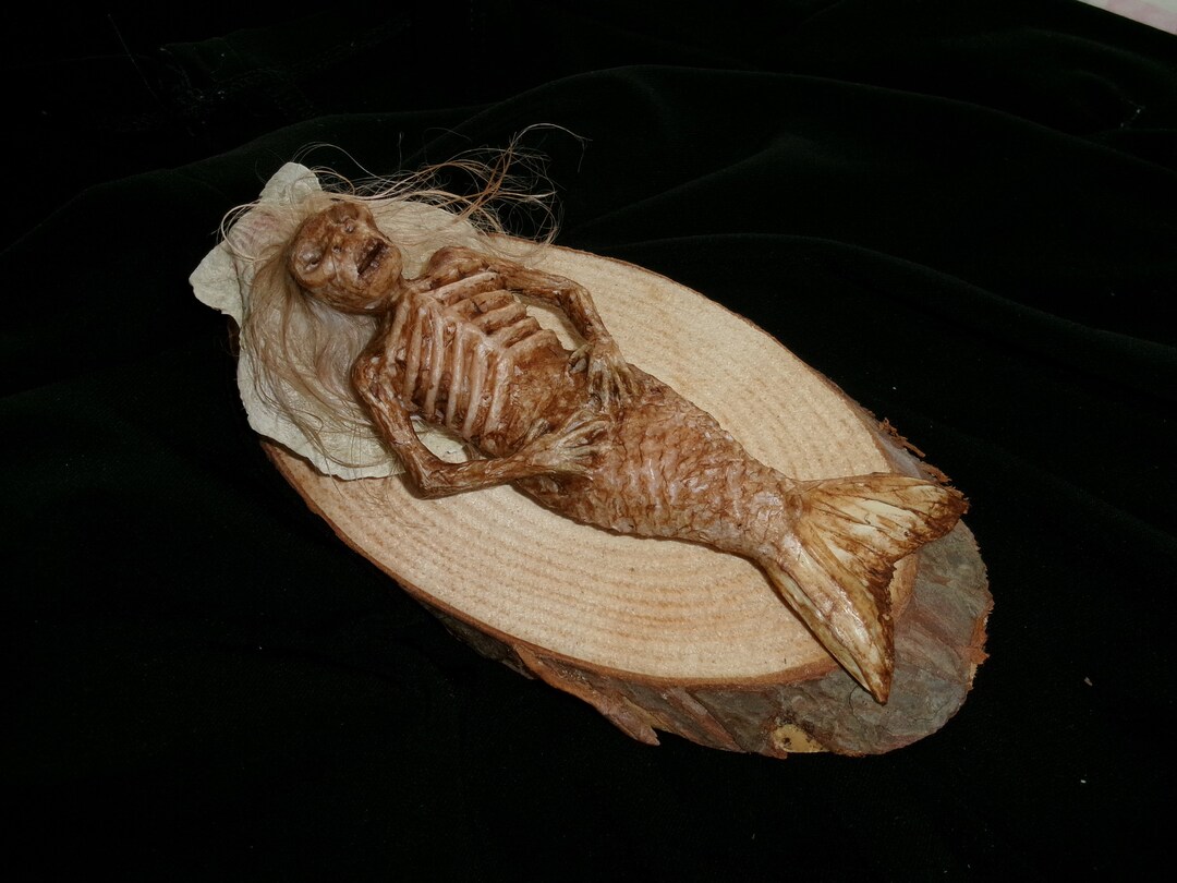 Feejee Fiji Mermaid Sideshow Gaff Freak - Etsy
