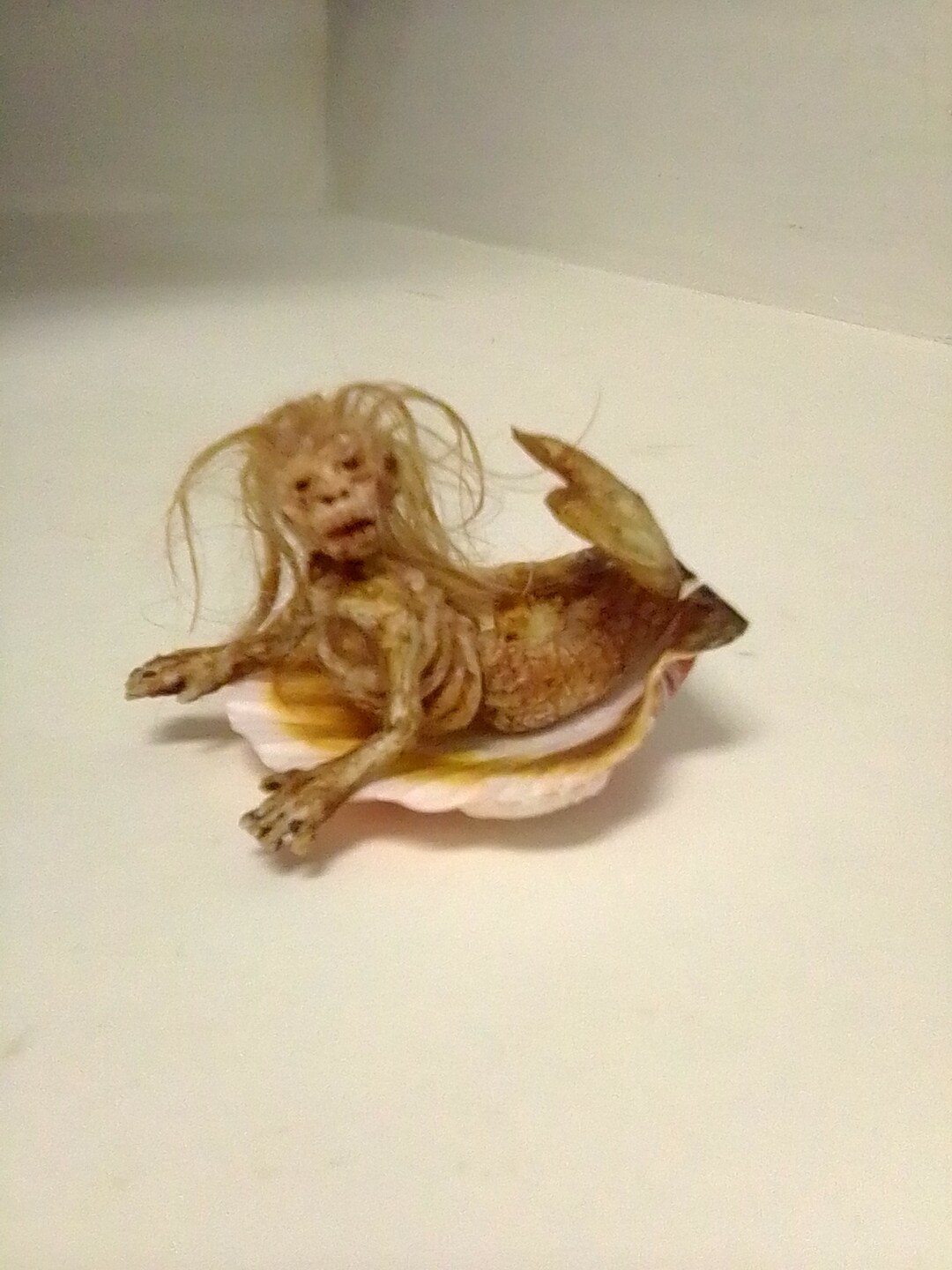 Miniature Feejee Fiji Mermaid on Shell Sideshow Gaff Freak - Etsy