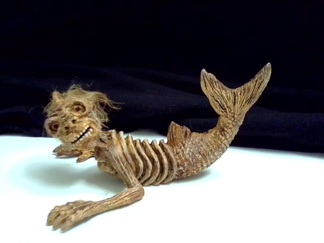 Feejee Fiji Mermaid 5 Inches Long Sideshow Freak Gaff Oddity Fish ...