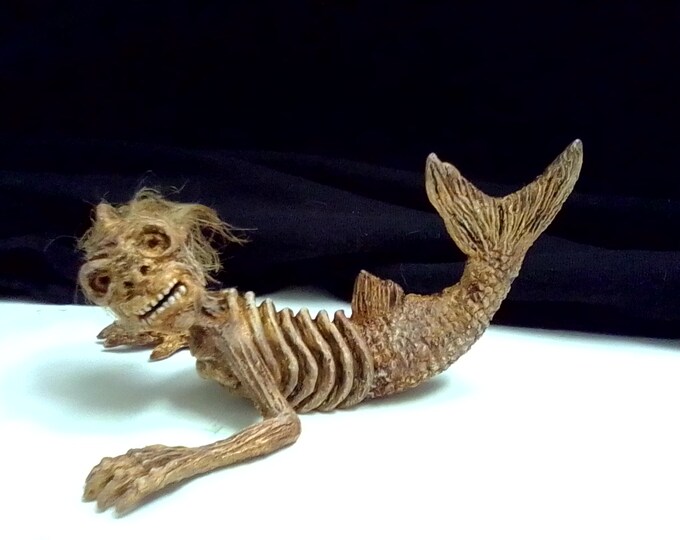 Torso Human Pelt - Etsy Canada