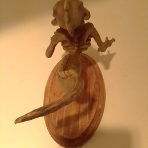 Feejee Fiji Mermaid Sideshow Gaff - Etsy