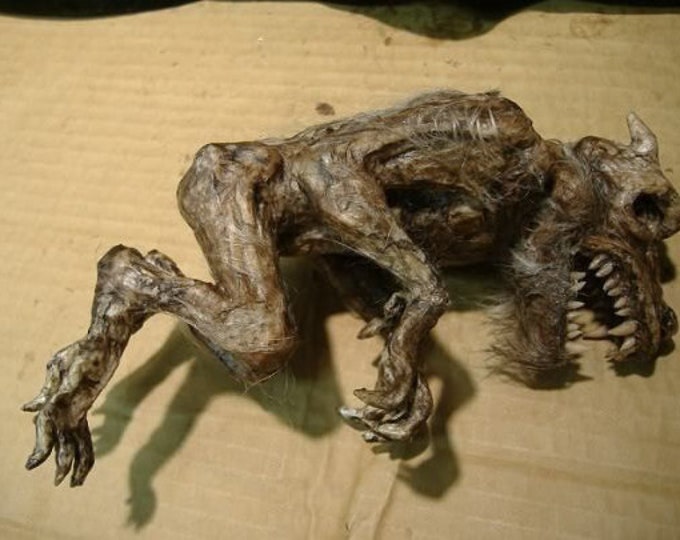 Werewolf Fetus Sideshow Gaff Freak - Etsy