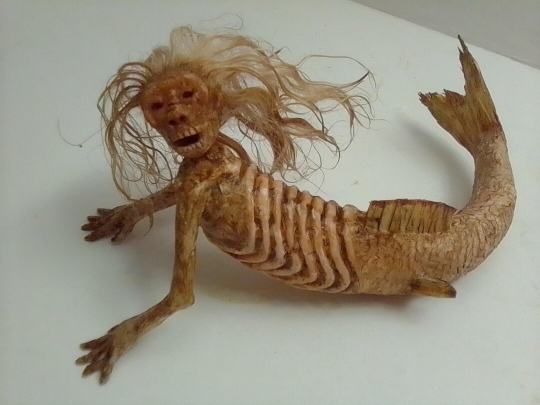 Feejee Fiji Mermaid Sideshow Gaff Freak - Etsy