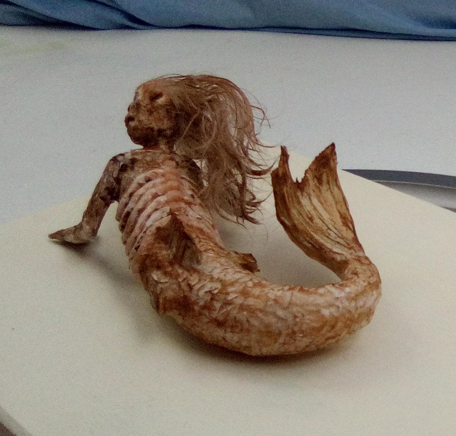 Feejee Fiji Mermaid 5 Inches Long Sideshow Freak Gaff Sea Creature Fish ...