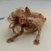 Feejee Fiji Mermaid 5 Inches Long Sideshow Freak Gaff Sea Creature Fish ...