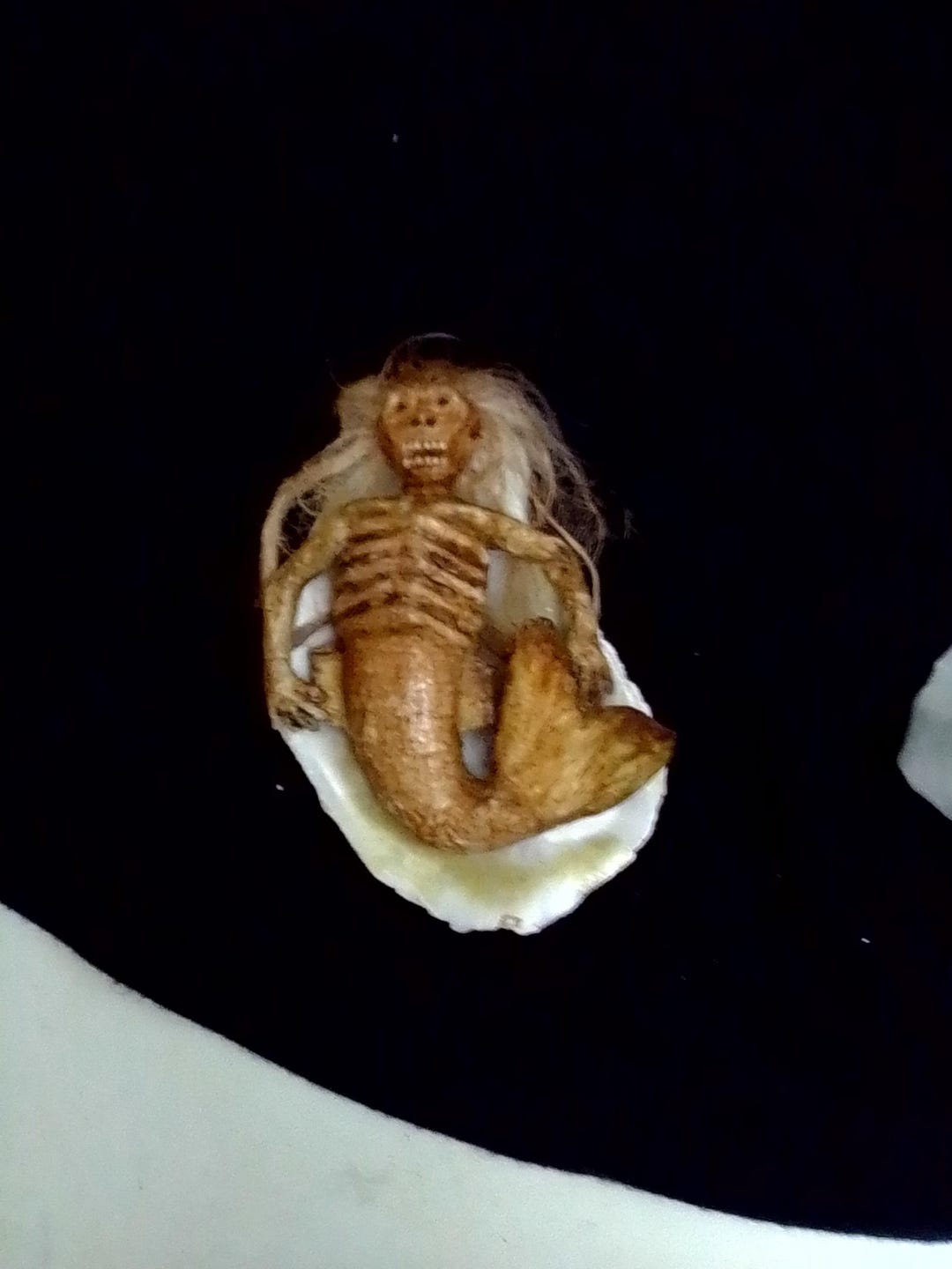 Feejee Fiji Mermaid on Oyster Shell 2.75 Inches Miniature Sideshow ...
