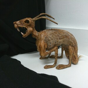 Mummified Rabbit Sideshow Gaff Freak - Etsy