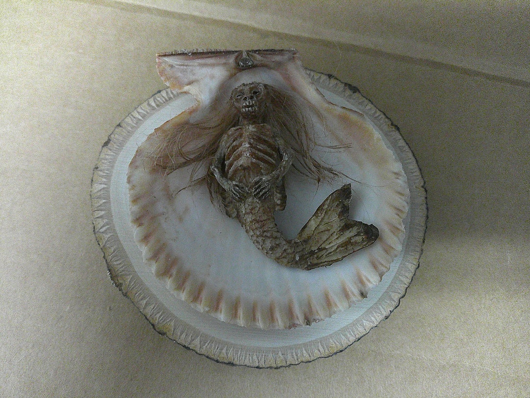 Miniature Feejee Fiji Mermaid Sideshow Gaff Freak - Etsy