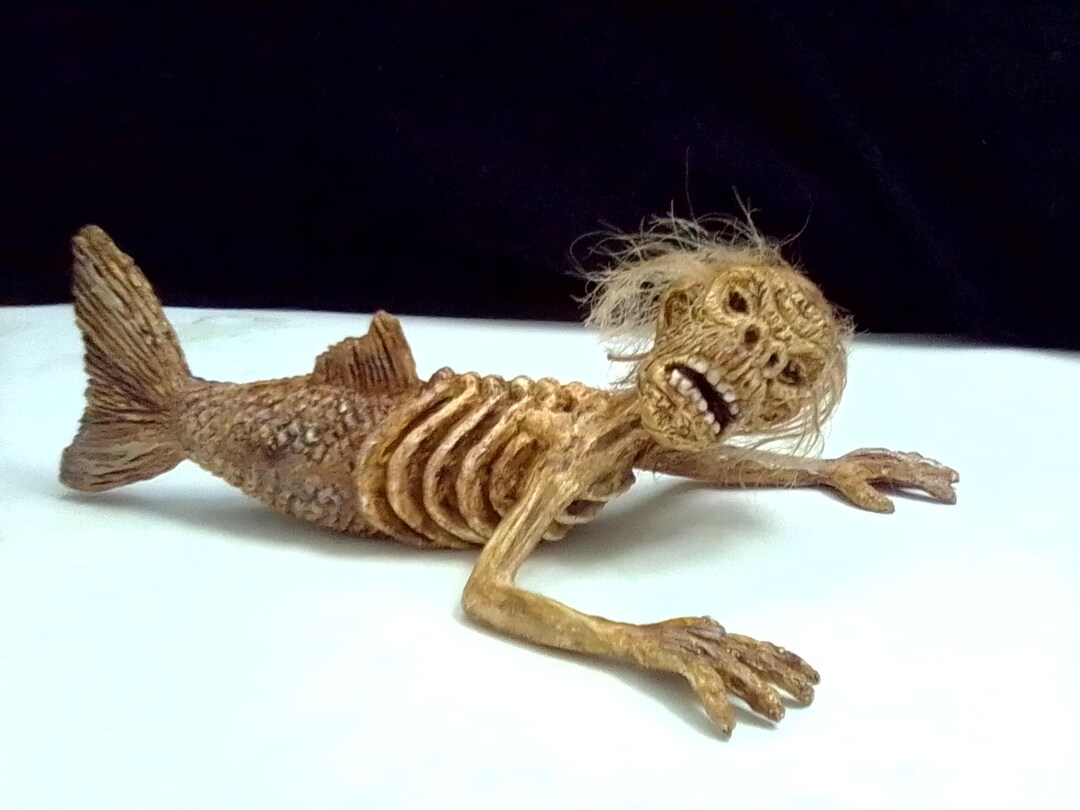 Feejee Fiji Mermaid 5.5 Inches Long Sideshow Freak Gaff Oddity Fish ...