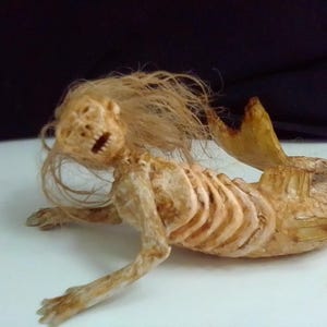 Feejee Fiji Mermaid 5 Inches Long Sideshow Freak Gaff Sea Creature Fish ...